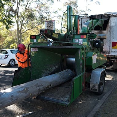 Stump Grinding Newcastle & Lake Macquarie: Agility Trees