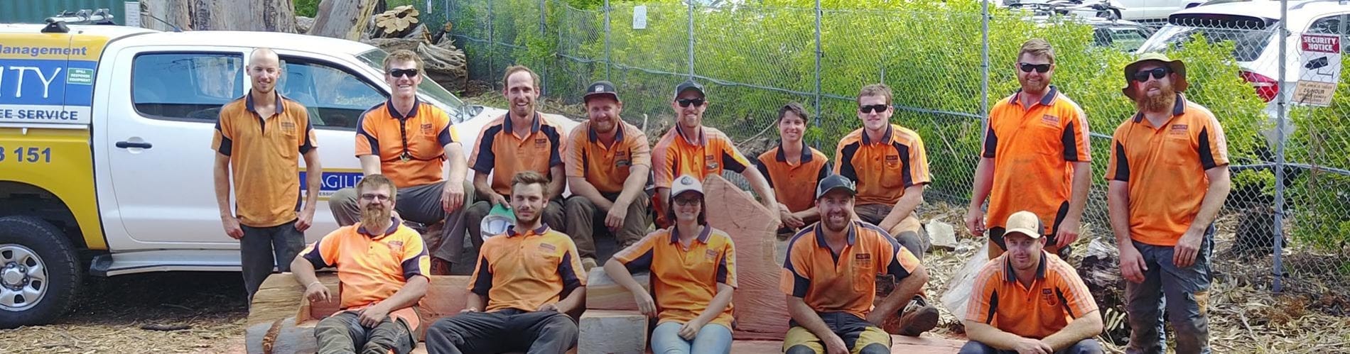 About Our Professional Arborists in Newcastle: Agility Trees