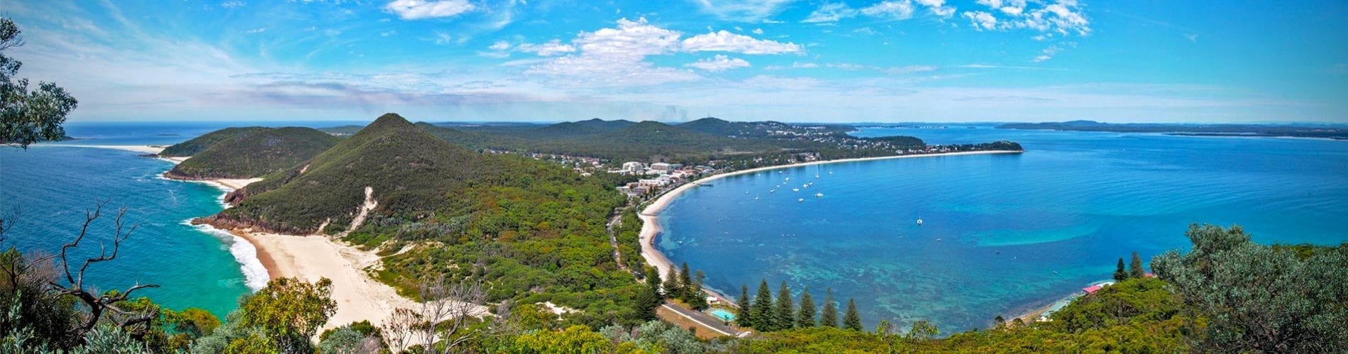 Qualified Arborist Port Stephens NSW: Agility Trees