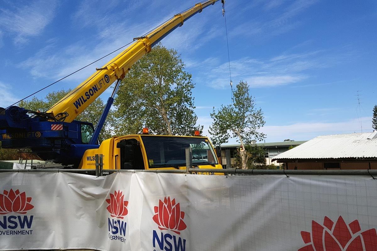 Council Tree Removal Newcastle & Lake Macquarie: Agility Trees