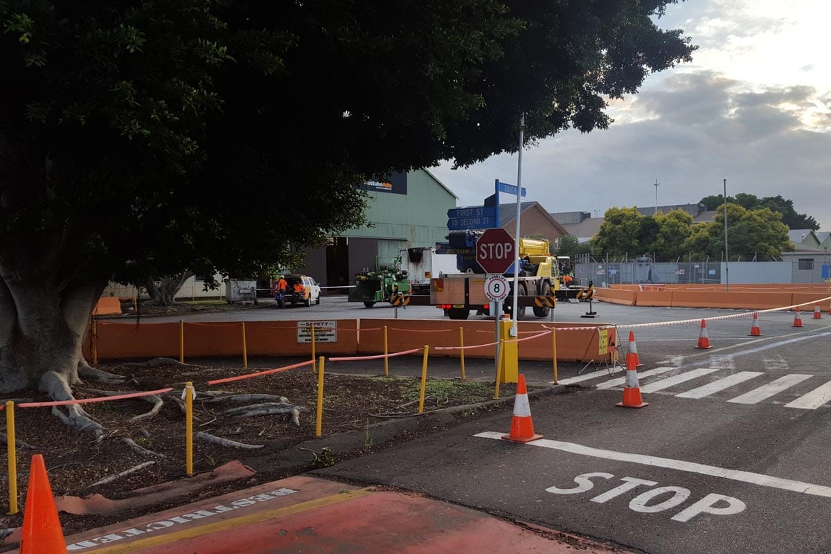 Council Tree Removal Newcastle & Lake Macquarie: Agility Trees