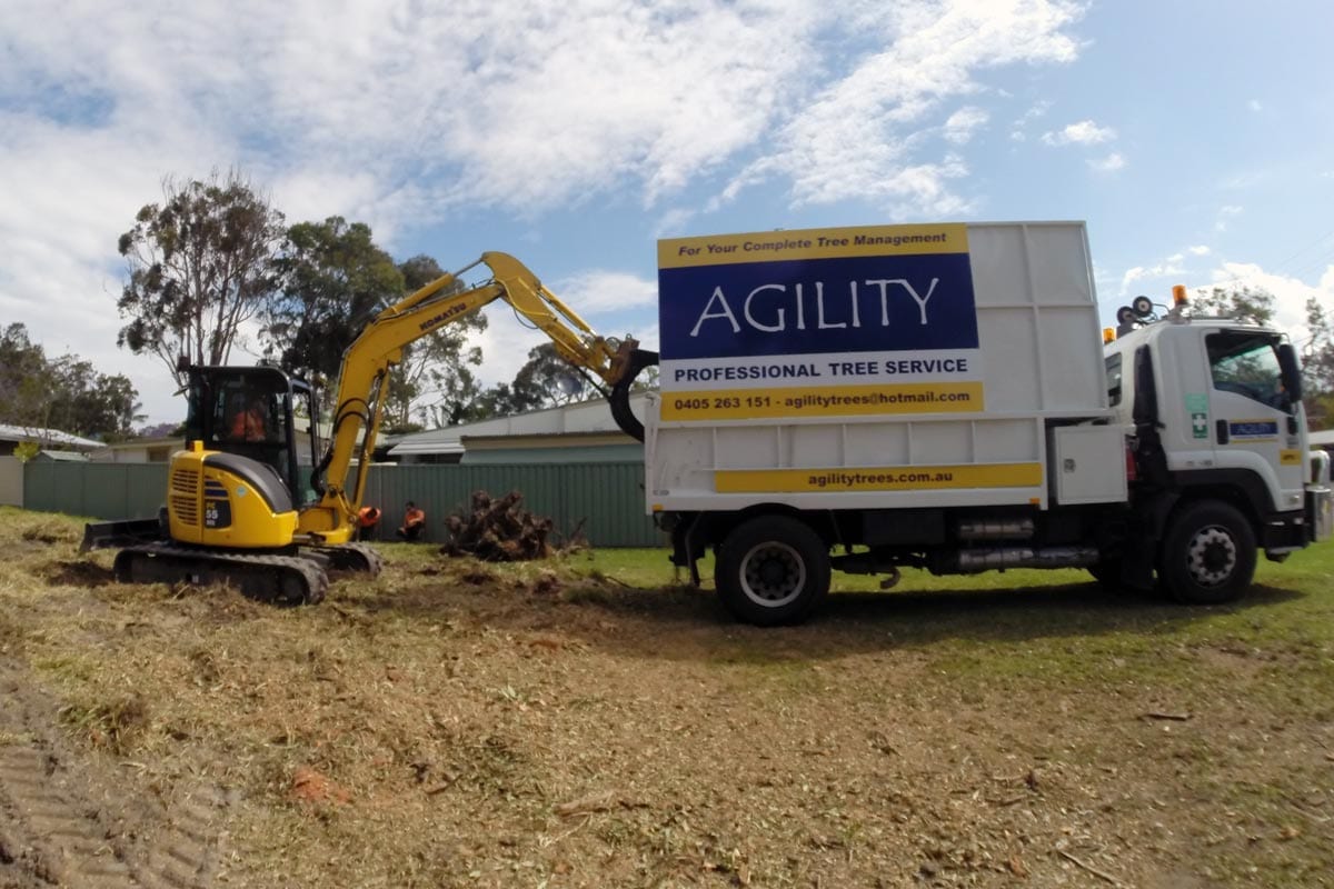 Land Clearing & Development Newcastle: Agility Trees
