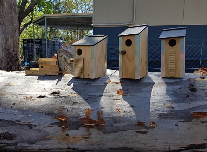 Wildlife Boxes Supply & Installation Newcastle: Agility Trees
