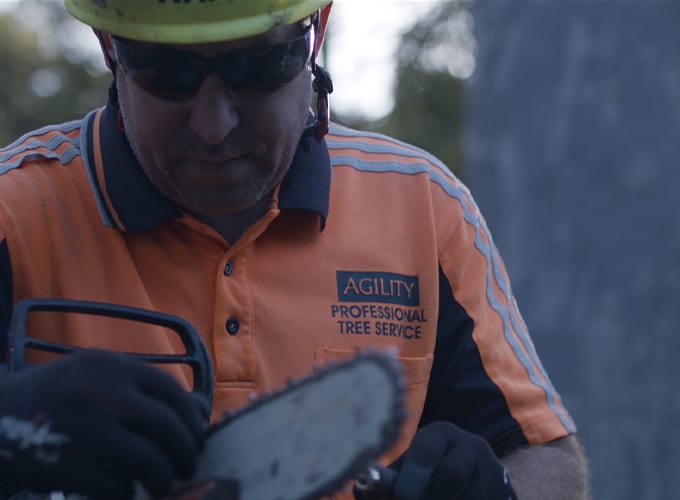 Meet Our Professional Arborists in Newcastle: Agility Trees